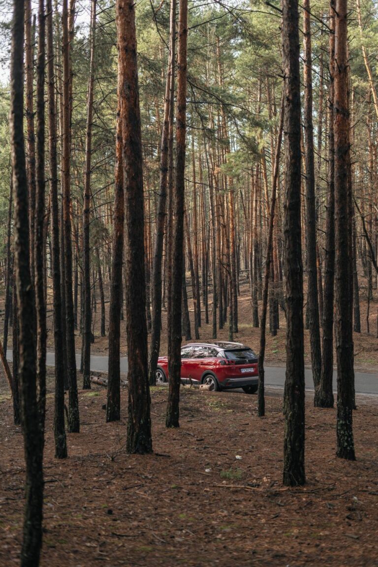 Vad gäller vid bogsering: En grundlig översikt